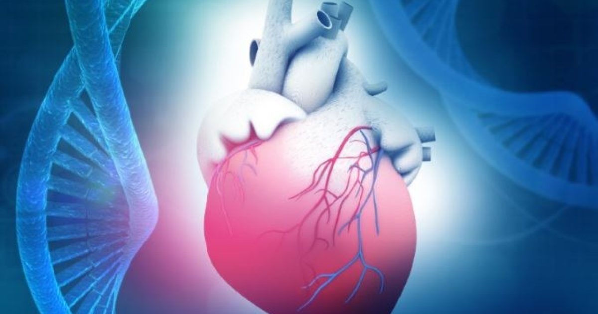 HartKliniek | Myotone dystrofie type 1 en het hart