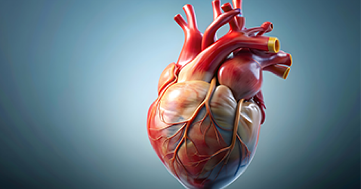 HartKliniek | Een verdikte hartspier